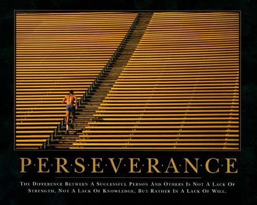 Perseverance Through People in History