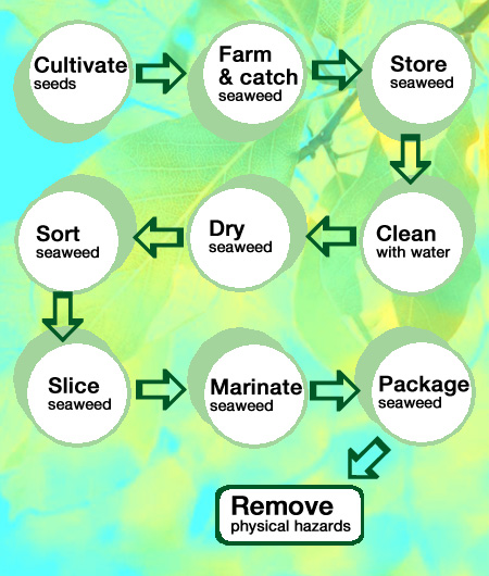 GiJang: Our Seaweed Salad: Production & Sanitation