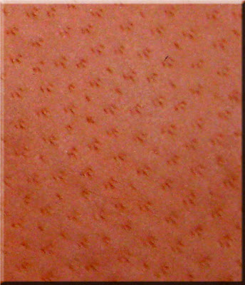 TheSkinnyGeometry: recognize pig skin lining