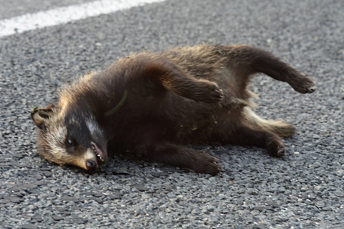 ematehniku asjatamised: kes kurat see veel on?