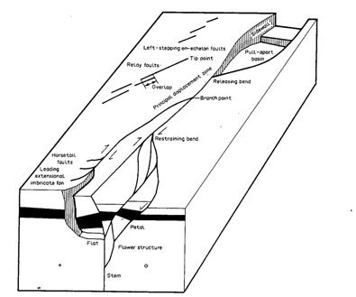 FAHRUDIN-GEO: SESAR GESER
