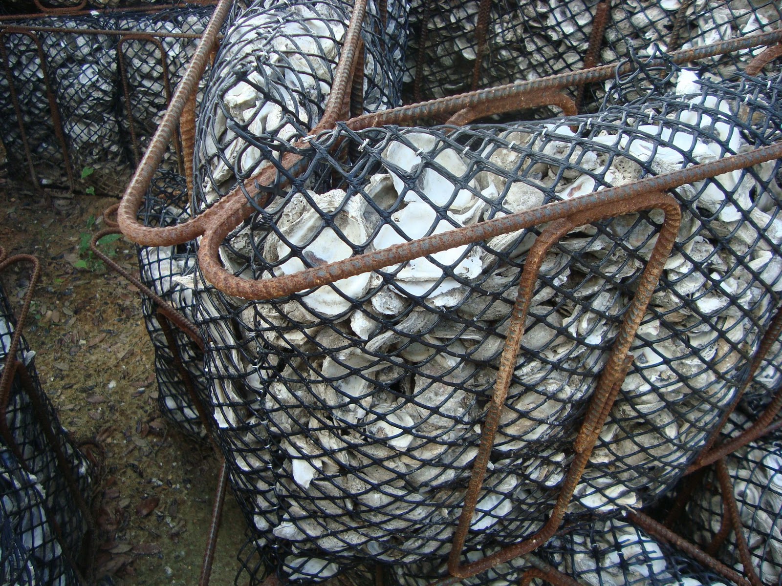 Florida Green & Sustainable BMPs: Sustainable Gabions for Stormwater ...