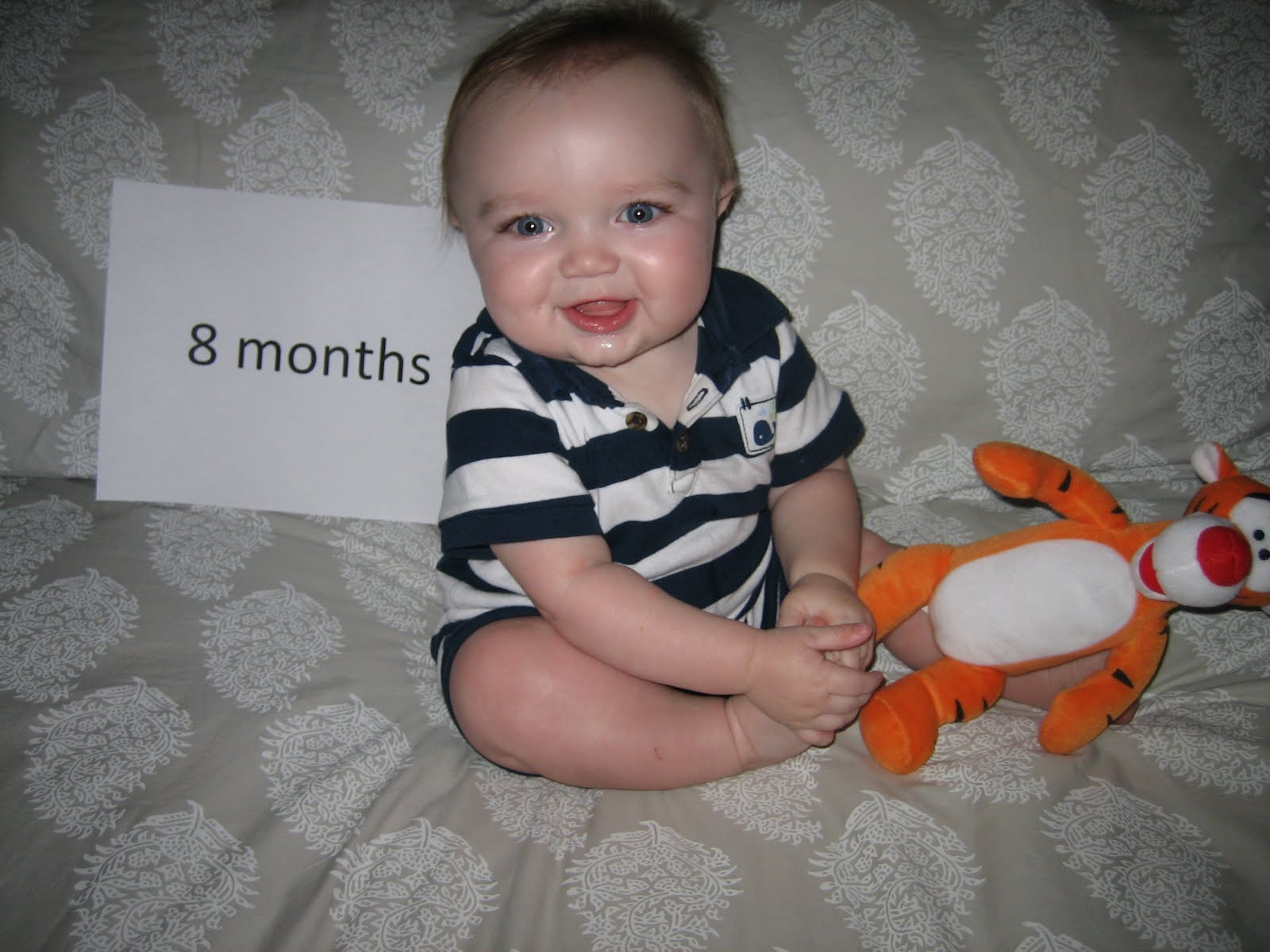 Three Feet Tall and Bullet Proof