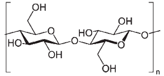 BiotecnoMania: Celulase e Trichoderma
