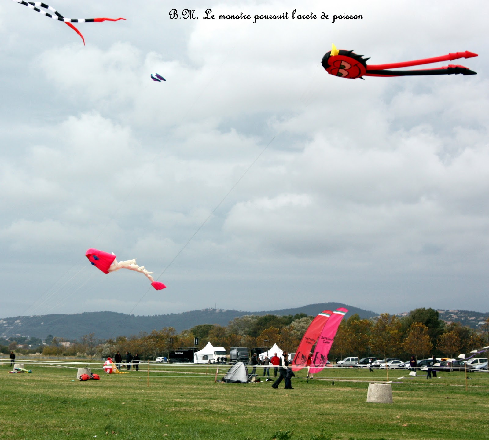 DECOUVERTE: Cerf volants