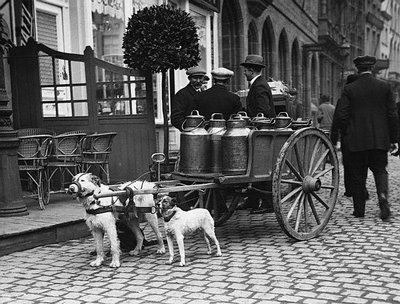 Vintage Photos of Dogs Pulling Carts | sweet juniper inspiration