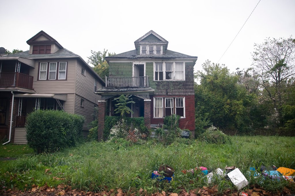 (More) Feral Houses | sweet juniper!