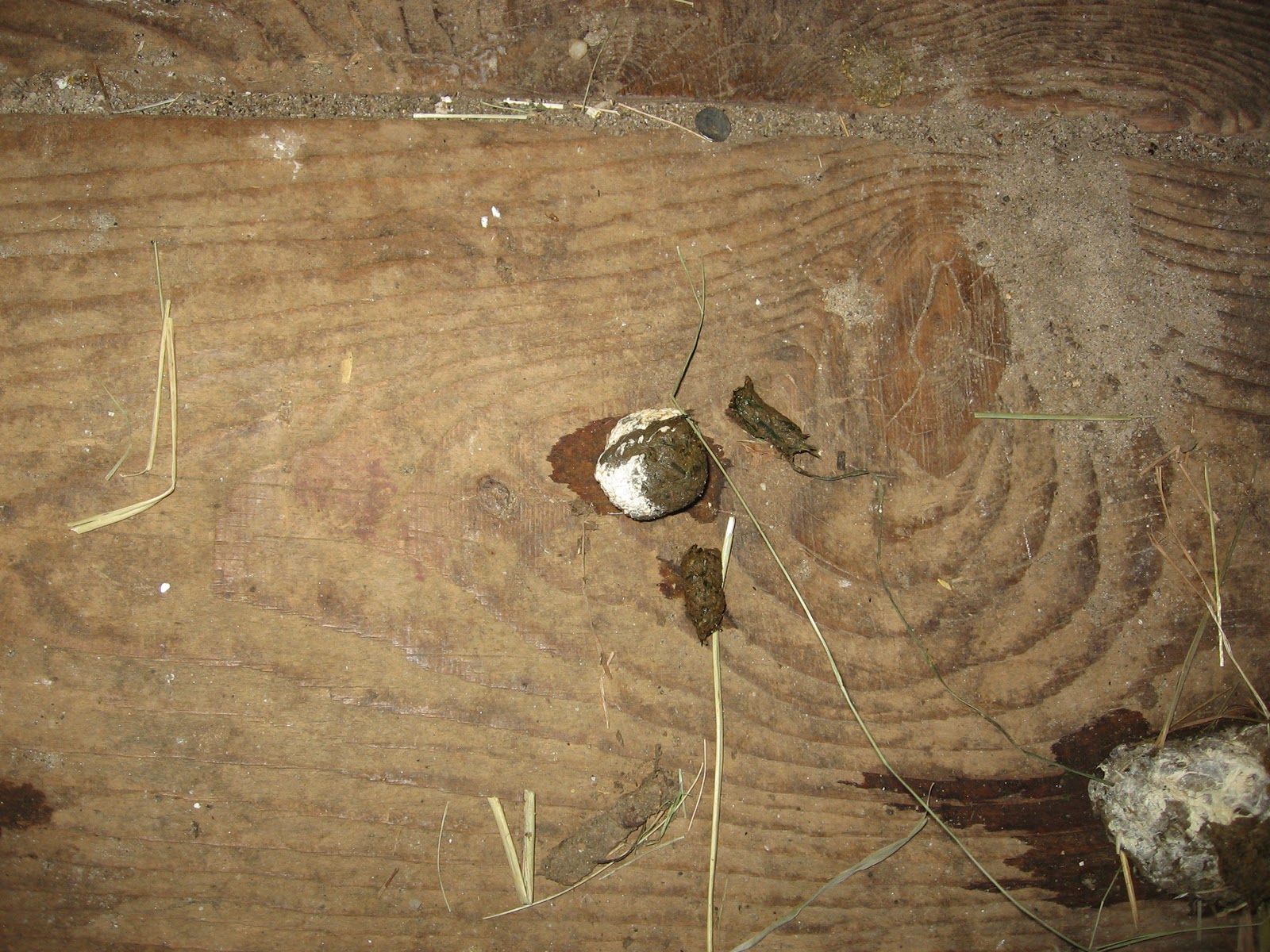 Hay! Ewe! Root for the Farmers!: Wednesday Waste-products and Driving ...