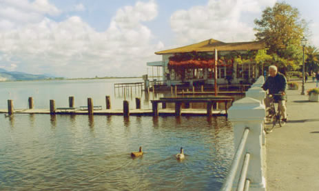 Resumo da Ópera: 67- Ópera - As famosas óperas de Puccini 3