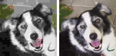 Patrick's Digital Graphics: Compression