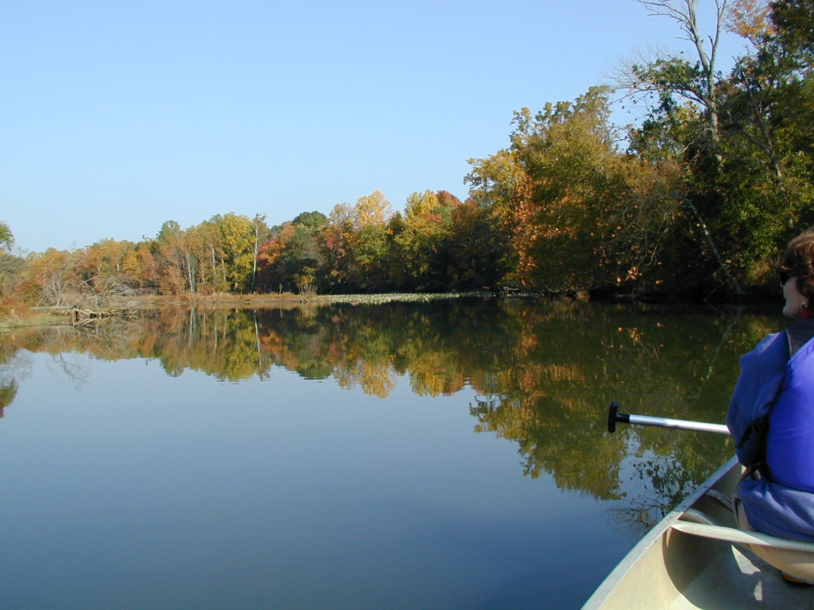 Regional Parks: Kayaking and Canoeing on Pohick Bay