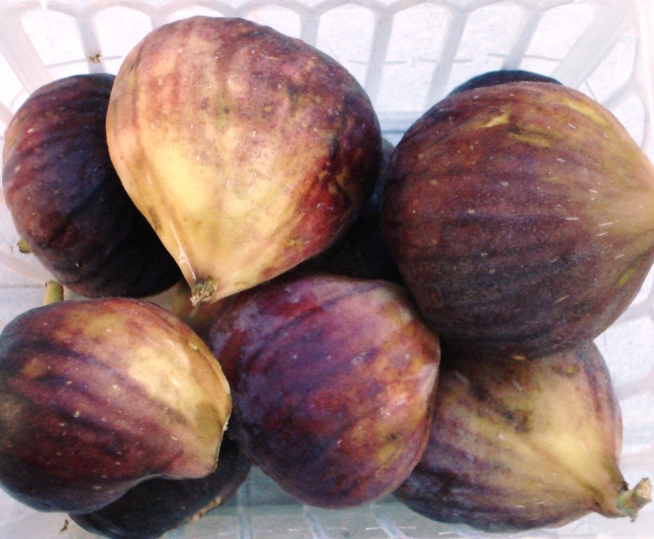 Cook 'em if you got 'em: Figs: Pure Romance