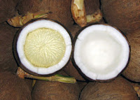 balifruits.blogspot.com: Coconut Tombong