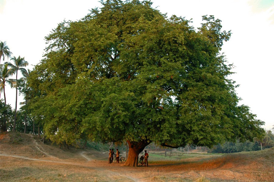 Filipino, Province, Family, History, Philippines, Neighbor, Beach ...