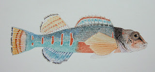 Thom Glace- Watercolor Artist: The making of 'Watercolor Study of ...