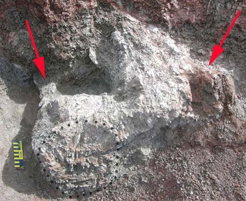 The Great Cretaceous Walk: Dinosaurs Down Underground: Part II