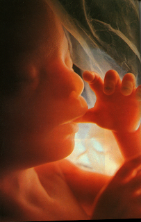 For the Love of all That is BABY: Baby Bump @ 20 Weeks!