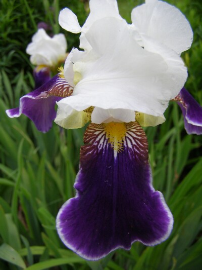 Yllep`s handicrafts: Natuke näputööd...