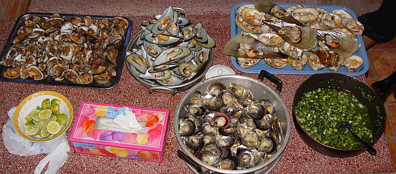 A Chinese-Vietnamese Australian: Sea Snails with coconut
