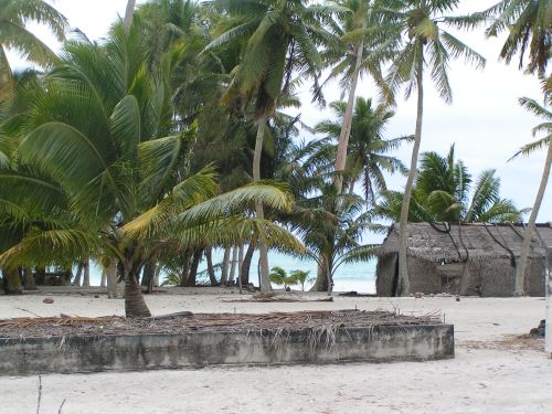 The Slow Track to Everywhere: The Cook Islands - Palmerston