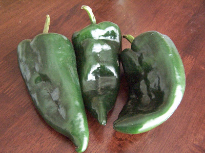 Becky Bakes: The pepper conundrum: easy differences between Poblano ...