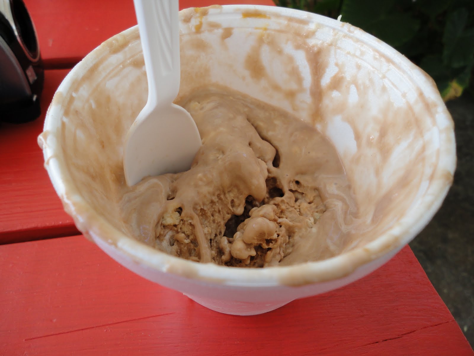 The Florida Dine and Dash: Liquid Nitrogen Dessert. mmmmmmmmmmm.....