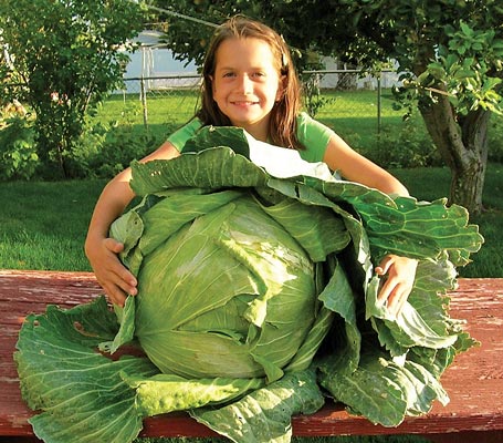 HOW TO GROW GIANT CABBAGE |The Garden of Eaden