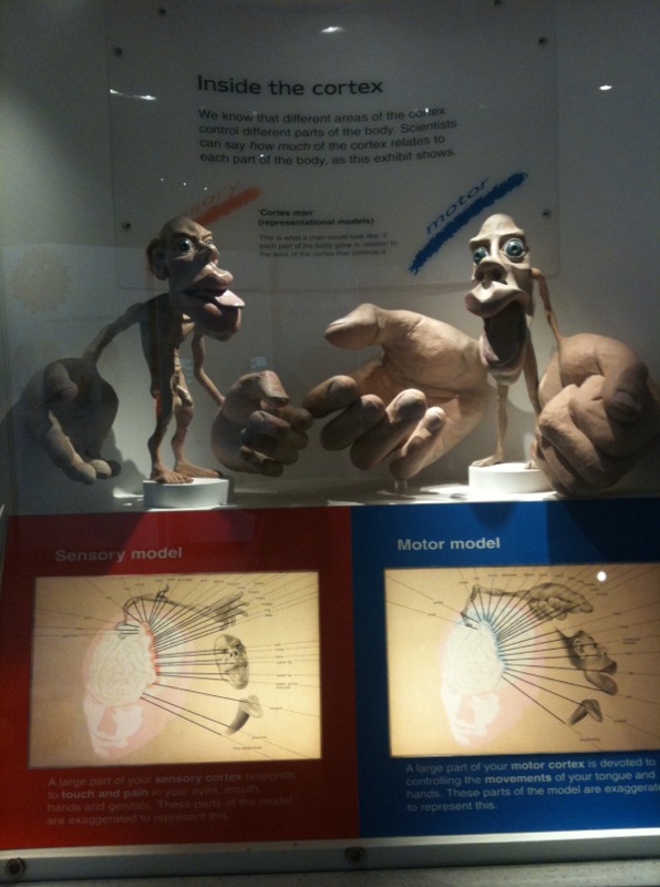 U.K. Summer 2010: The Homunculi