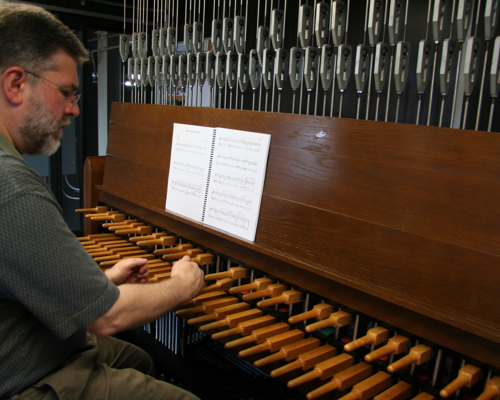 The Mupersan's Australian Adventure: Mom's Canberra Holiday