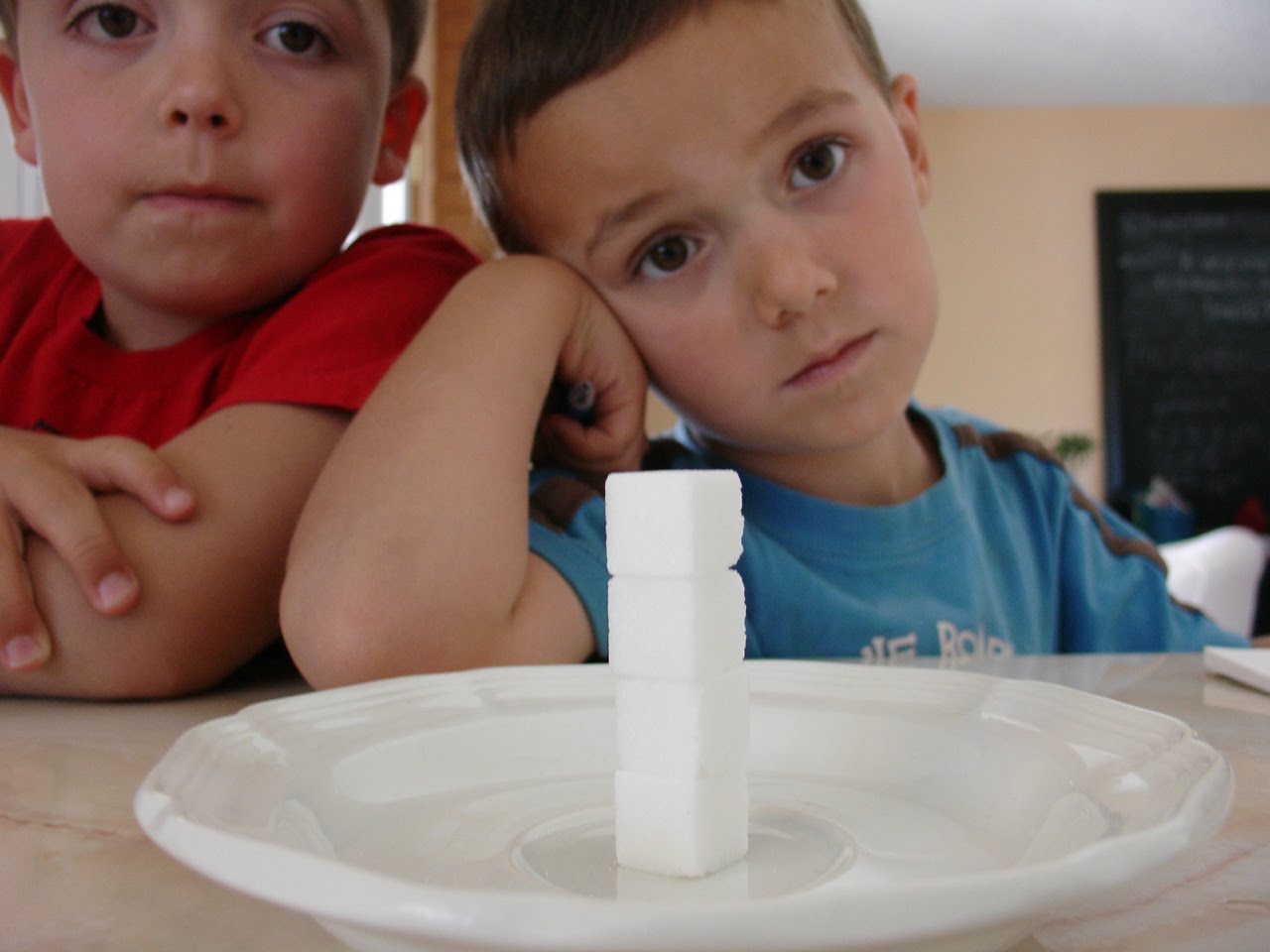 Kaylee & Co.: Science Experiment #7:: Water Absorption