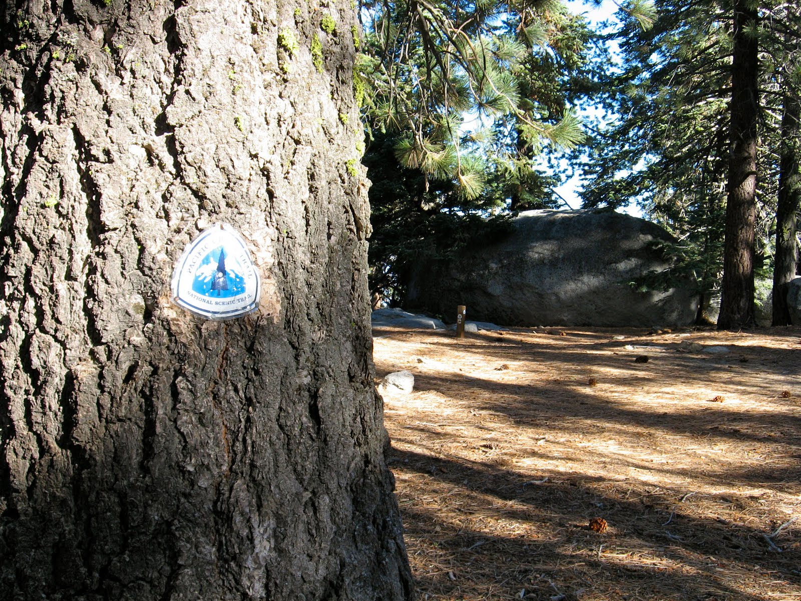 Hike Every Day: Hiking Down The PCT from Fuller Ridge