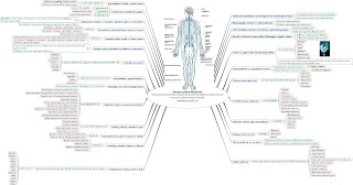 Medical mind maps: CNS mnemonics (super map)