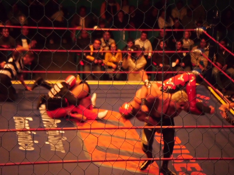 Lucha Libre Porra Fresa: Shocker y La Mascara retan a los Guerreros por ...