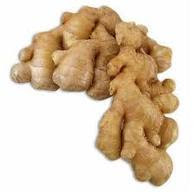 Sekilas Info: Berbagai macam jahe dan khasiatnya