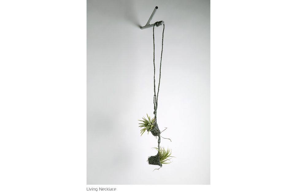 Adventures in Life: Living Jewelry and Terrariums