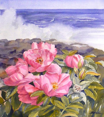 Zeh Original Art Blog Watercolor and Oil Paintings: Pink Beach Roses ...