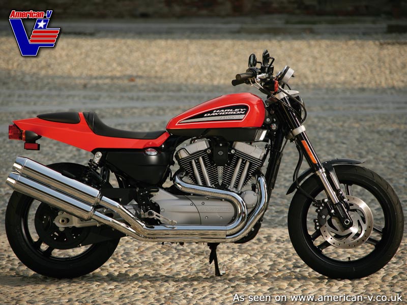 Live Fast Die: XR 1200