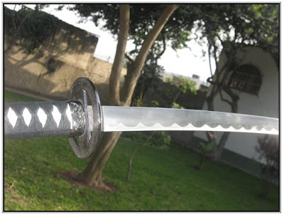 CENTRAL FLY: ¡Mi espada de filo invertido!