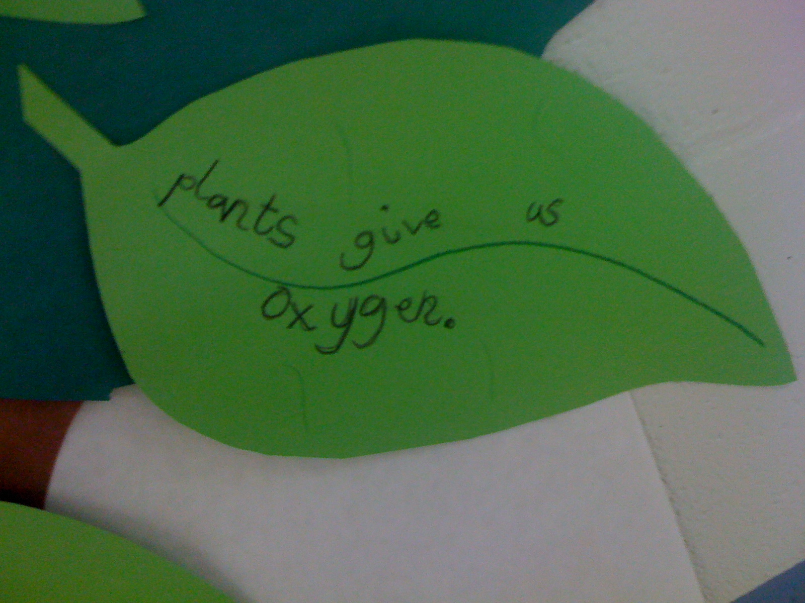 Student Teaching: Our Classroom Giving Tree