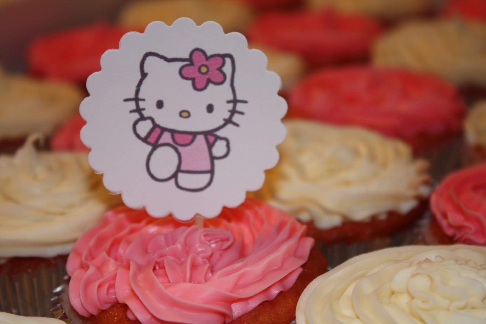 Alayna's Creations: Hello Kitty Party