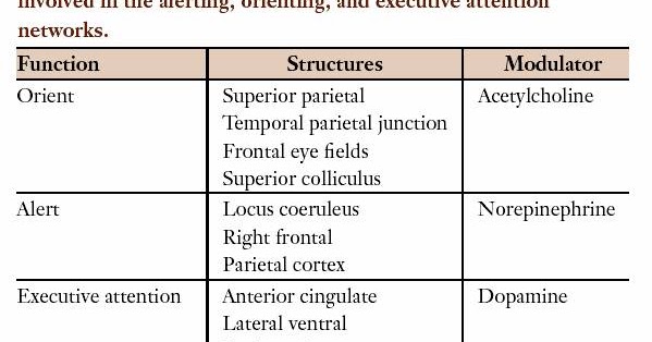 IQ's Corner: Cognitive construct of attention - a review