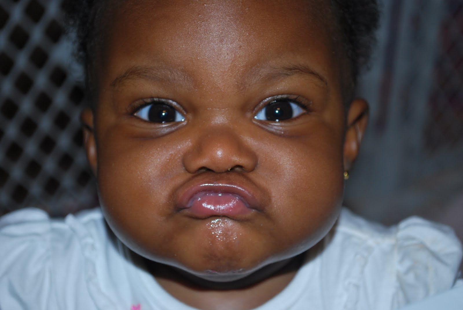 Féliçe Ruby-Ann: Snooty Face