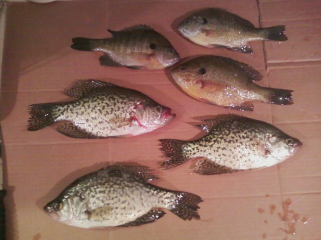 Illinois Wisconsin Fishing: deep lake illinois and silver lake wisconsin