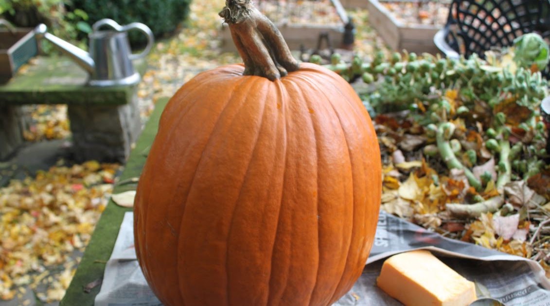 Bat Stew and Spiderweb Rolls