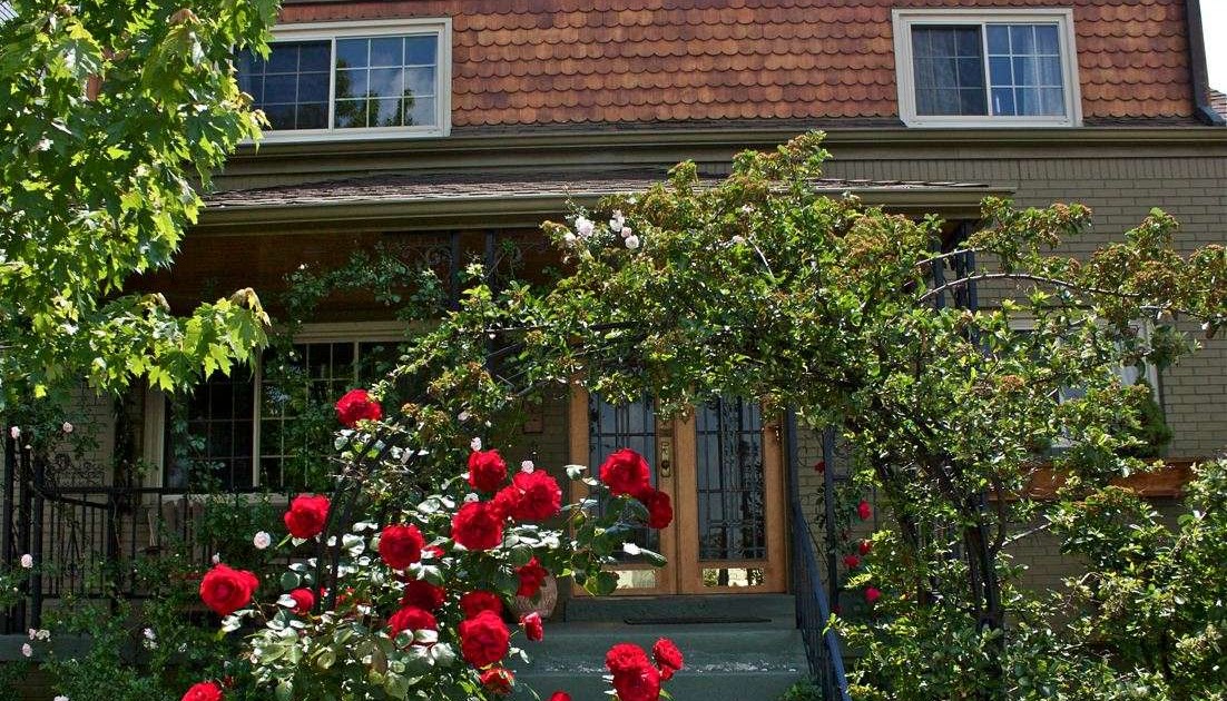 Rose Covered Cottage