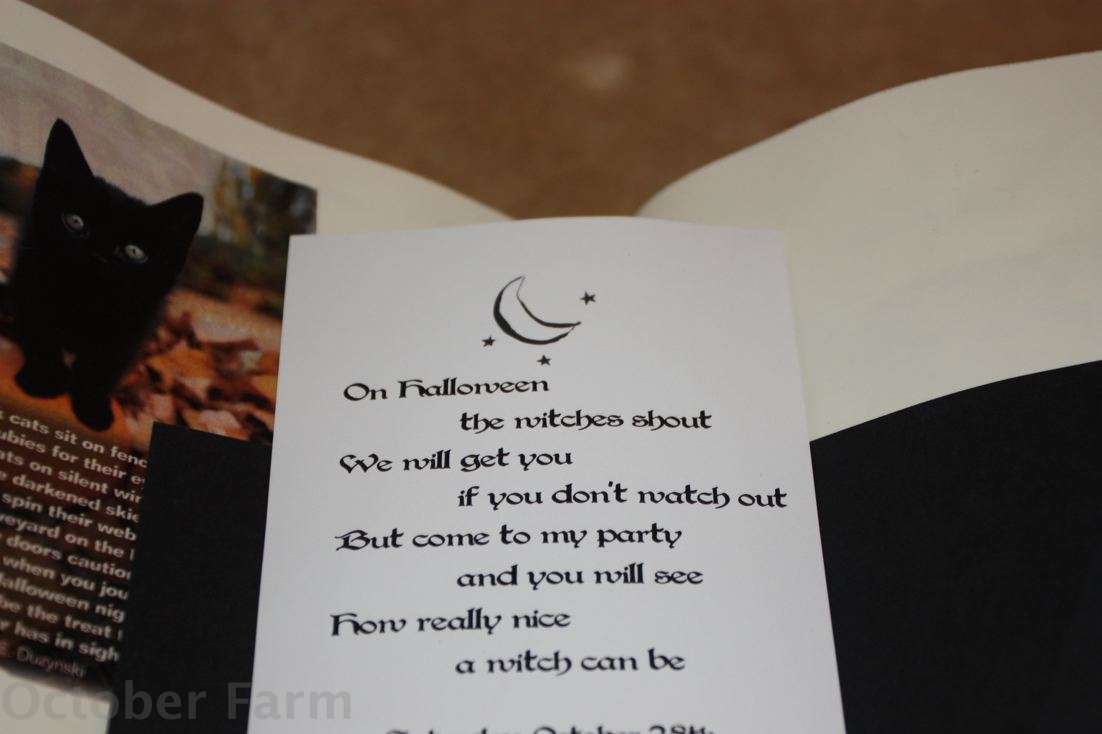 The Original Practical Magic Spellbook