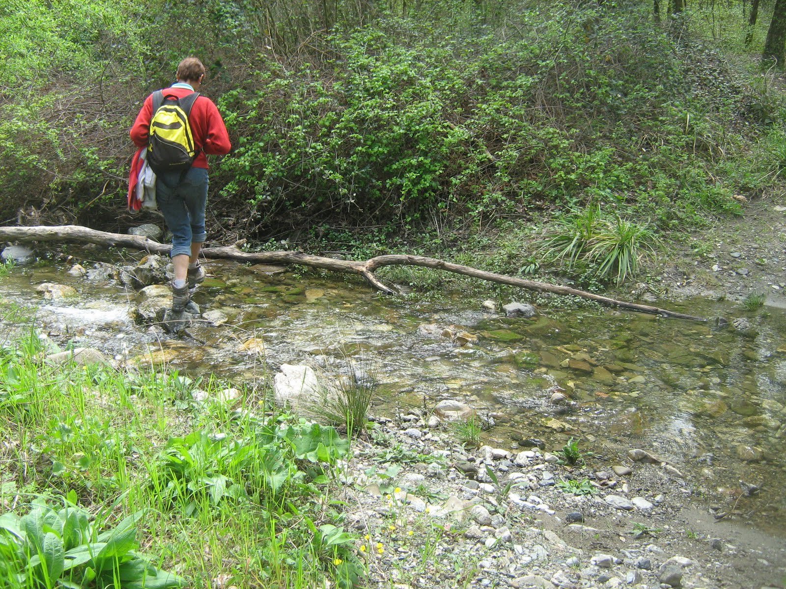 I sentieri di Maresco: I BOLLORI: Gambassi KM 8 TEMPO2 ORE MEZZO