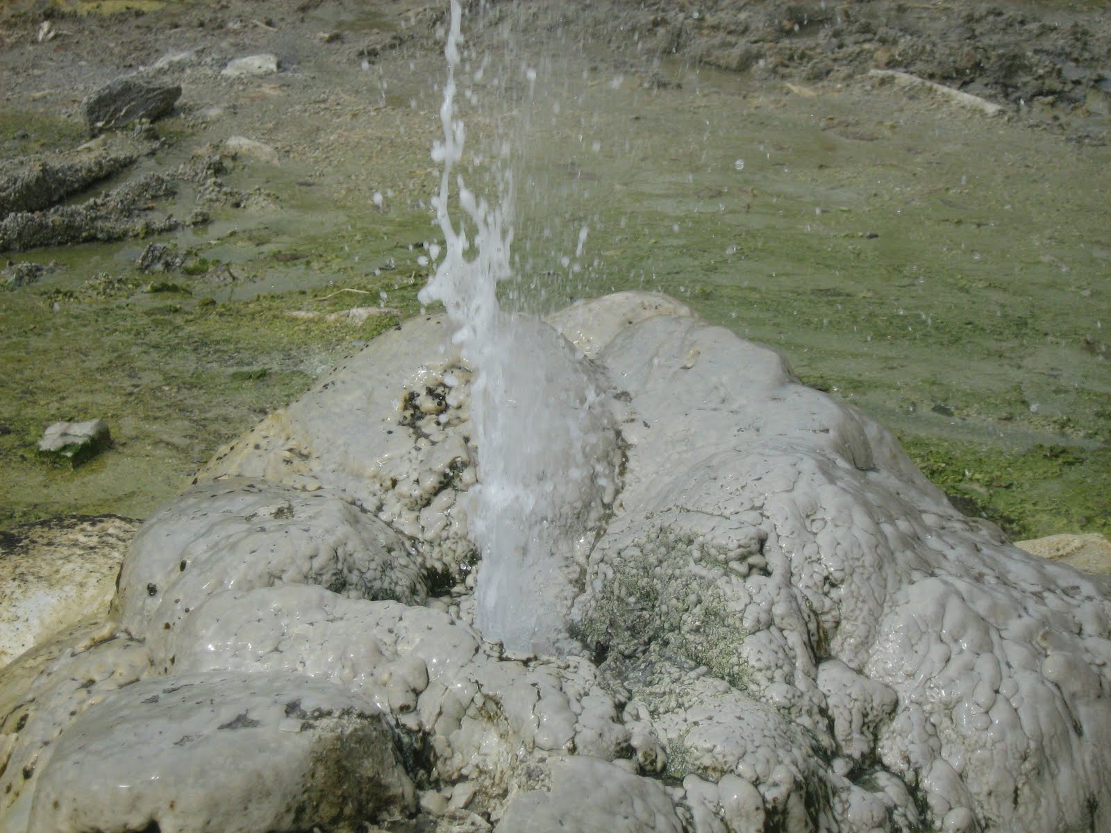 I sentieri di Maresco: I BOLLORI: Gambassi KM 8 TEMPO2 ORE MEZZO