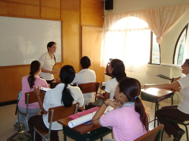 Programa de Formación Complementaria 2010: Acompañamiento pedagógico