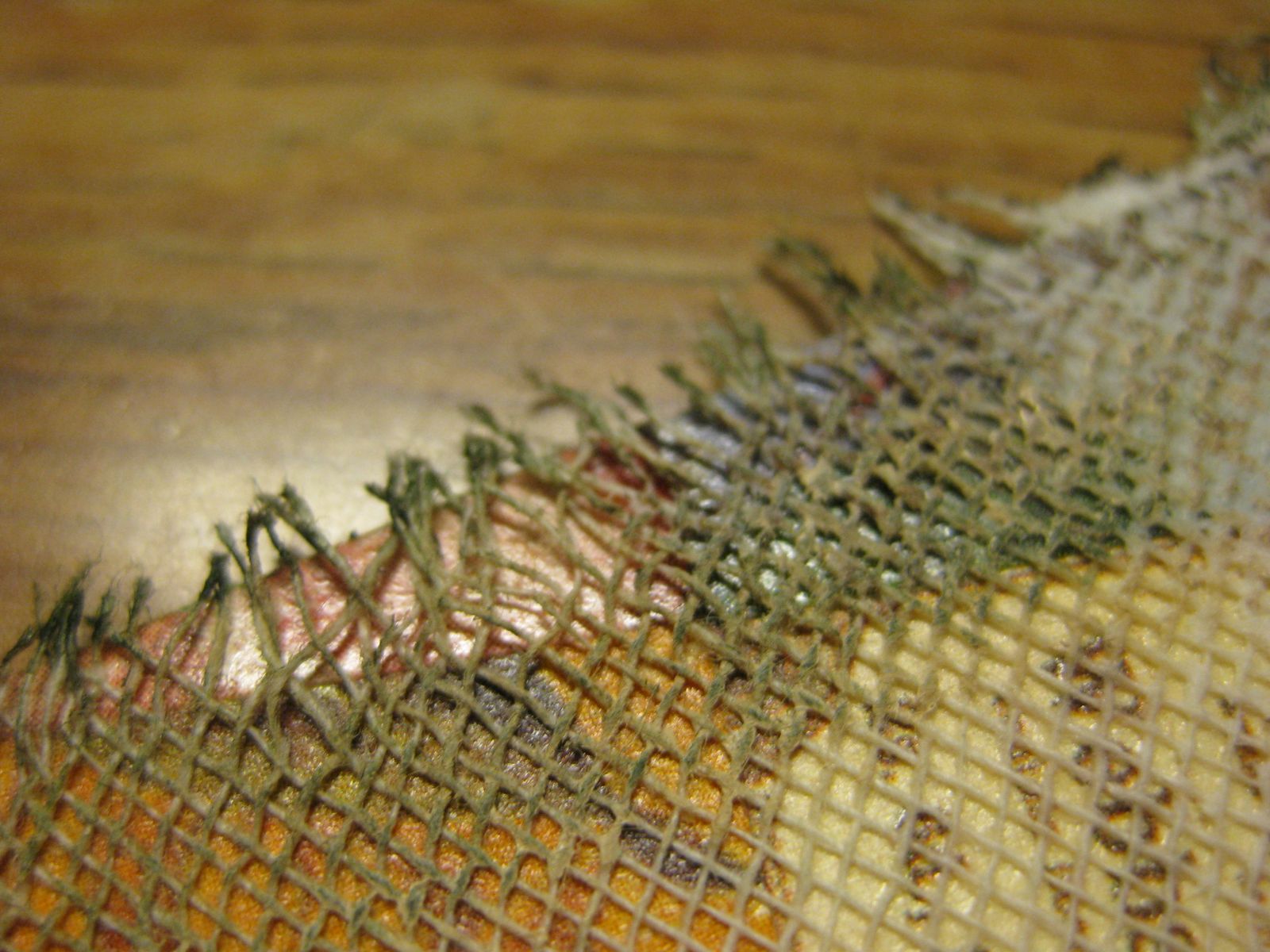 Life @ RuffHaven: Seven Steps